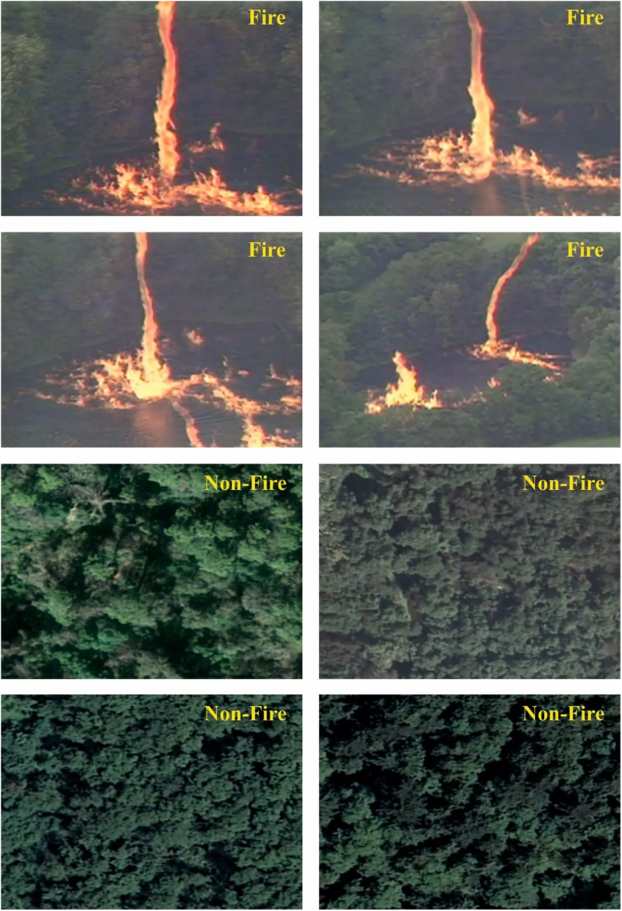 CMC | Free Full-Text | Fusion-Based Deep Learning Model for Automated ...