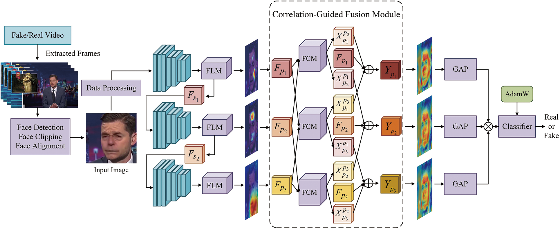 CMC | Free Full-Text | Multi-Branch Deepfake Detection Algorithm Based on Fine-Grained Features