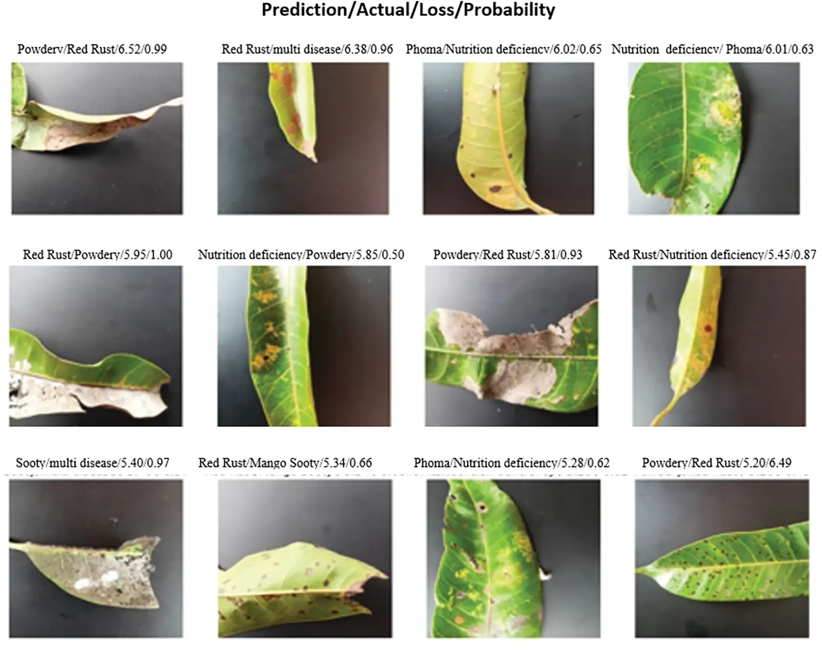 CMC | Free Full-Text | Deep Convolutional Neural Networks for South Indian Mango Leaf Disease ...