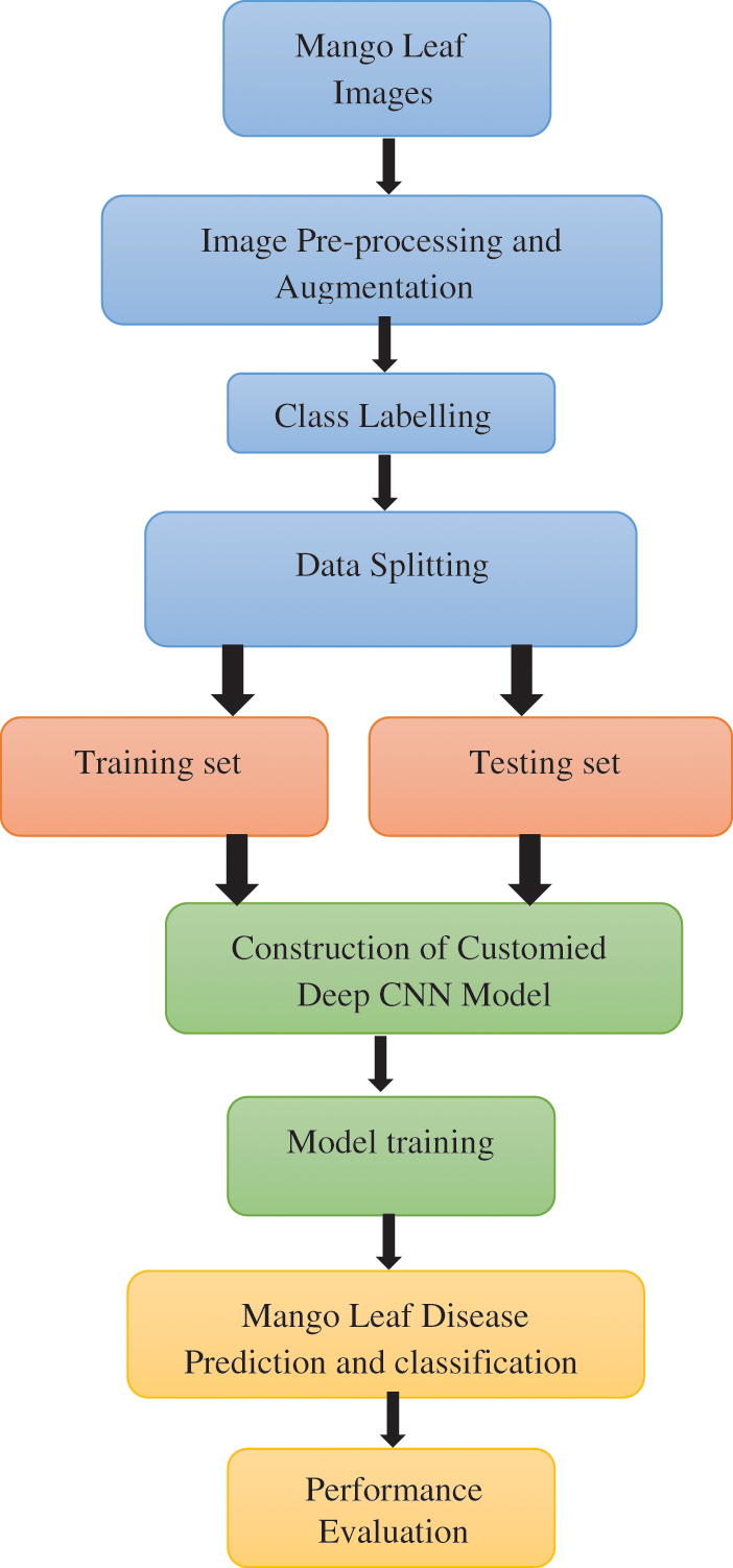 CMC | Free Full-Text | Deep Convolutional Neural Networks for South Indian Mango Leaf Disease ...