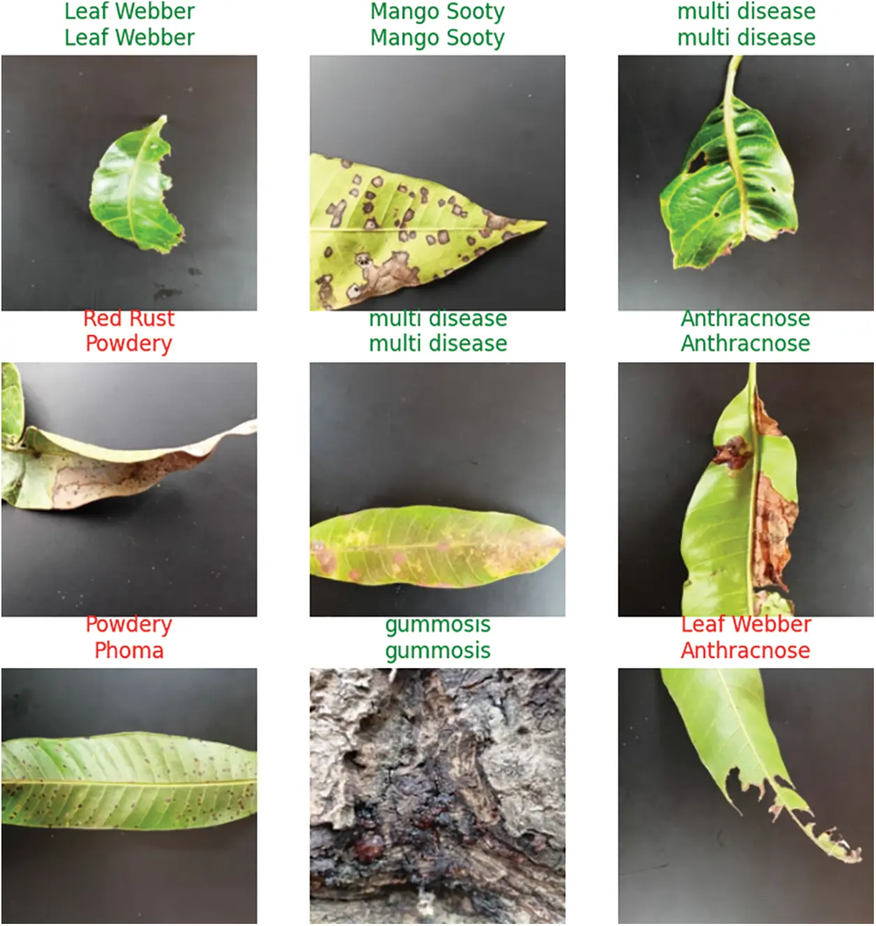CMC | Free Full-Text | Deep Convolutional Neural Networks for South Indian Mango Leaf Disease ...