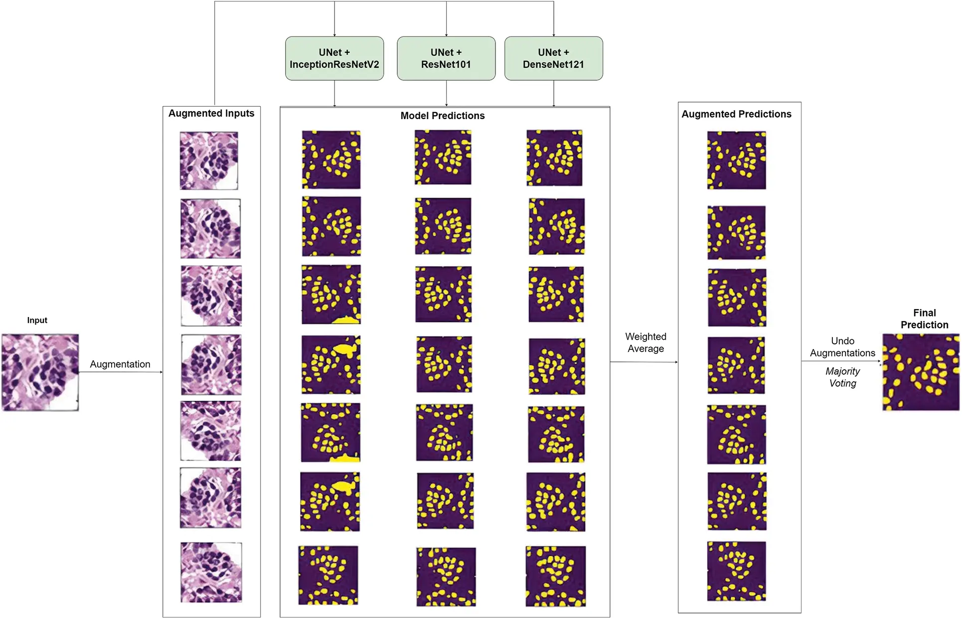 CMC | Free Full-Text | Nuclei Segmentation in Histopathology Images Using Structure-Preserving ...