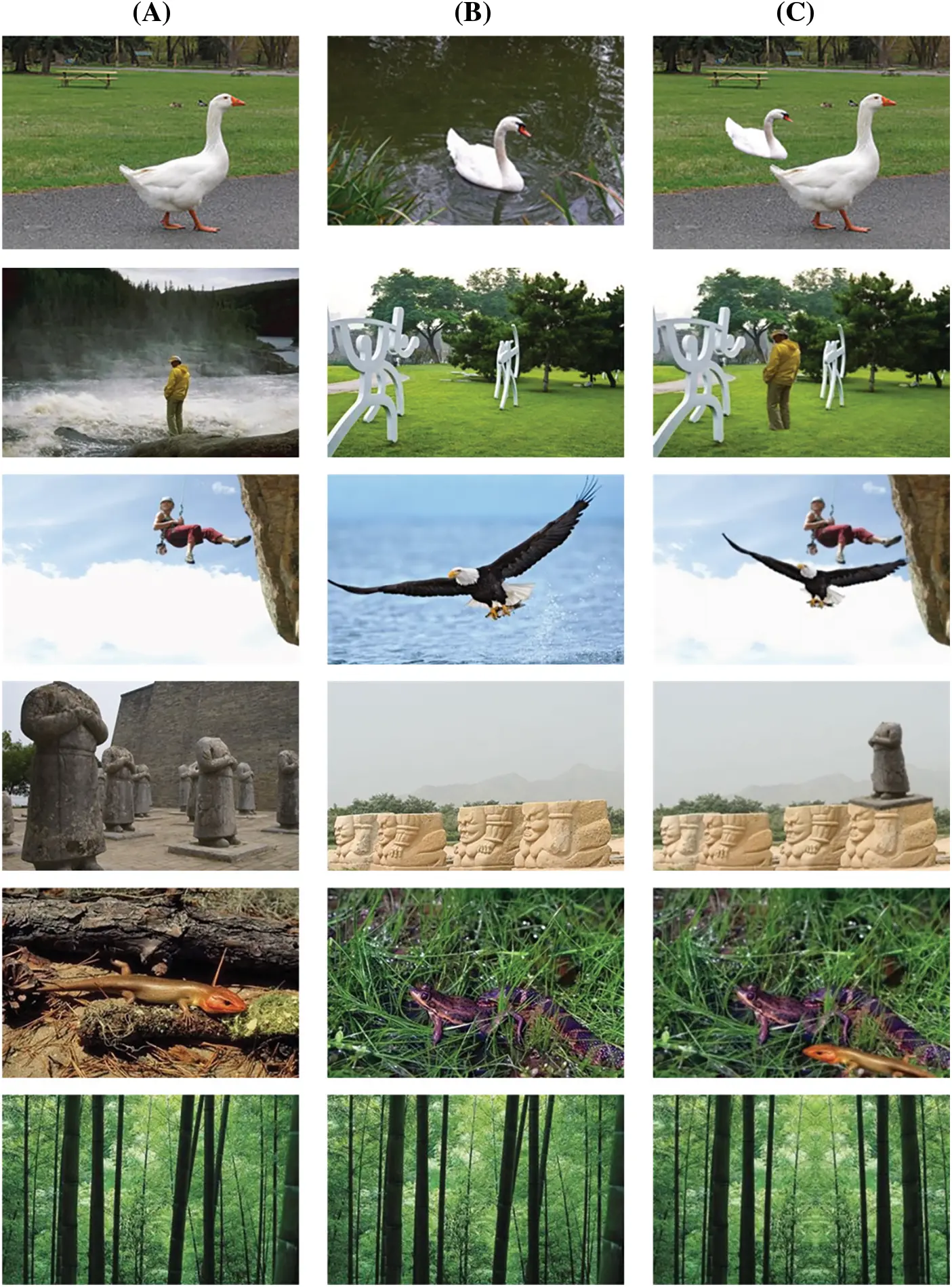 CMC | Free Full-Text | Image Splicing Forgery Detection Using Feature-Based of Sonine Functions ...