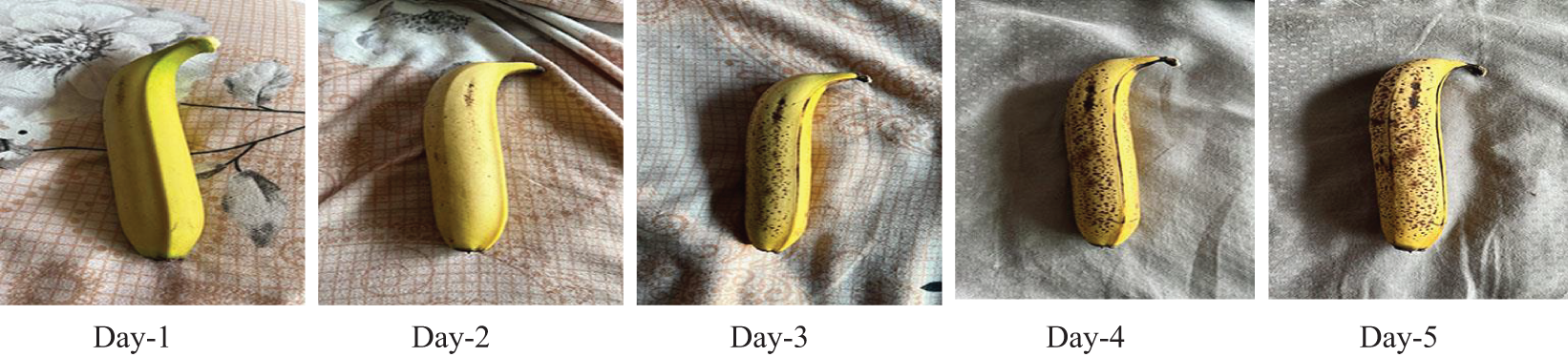 CMC | Free Full-Text | Deep Learning-Based Classification of Rotten ...