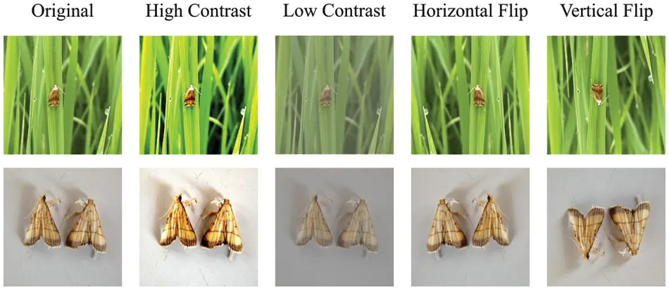 CMC | Free Full-Text | A Review on the Application of Deep Learning ...