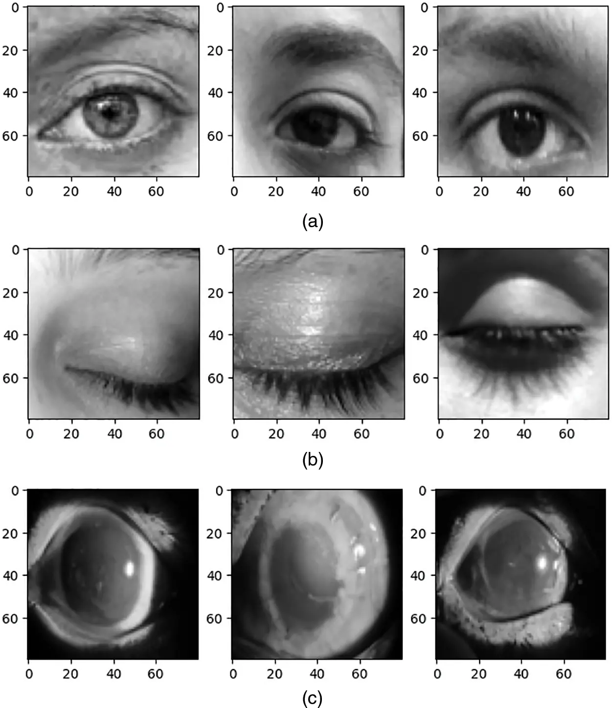 CMC | Free Full-Text | Enhancing ChatGPT’s Querying Capability with ...