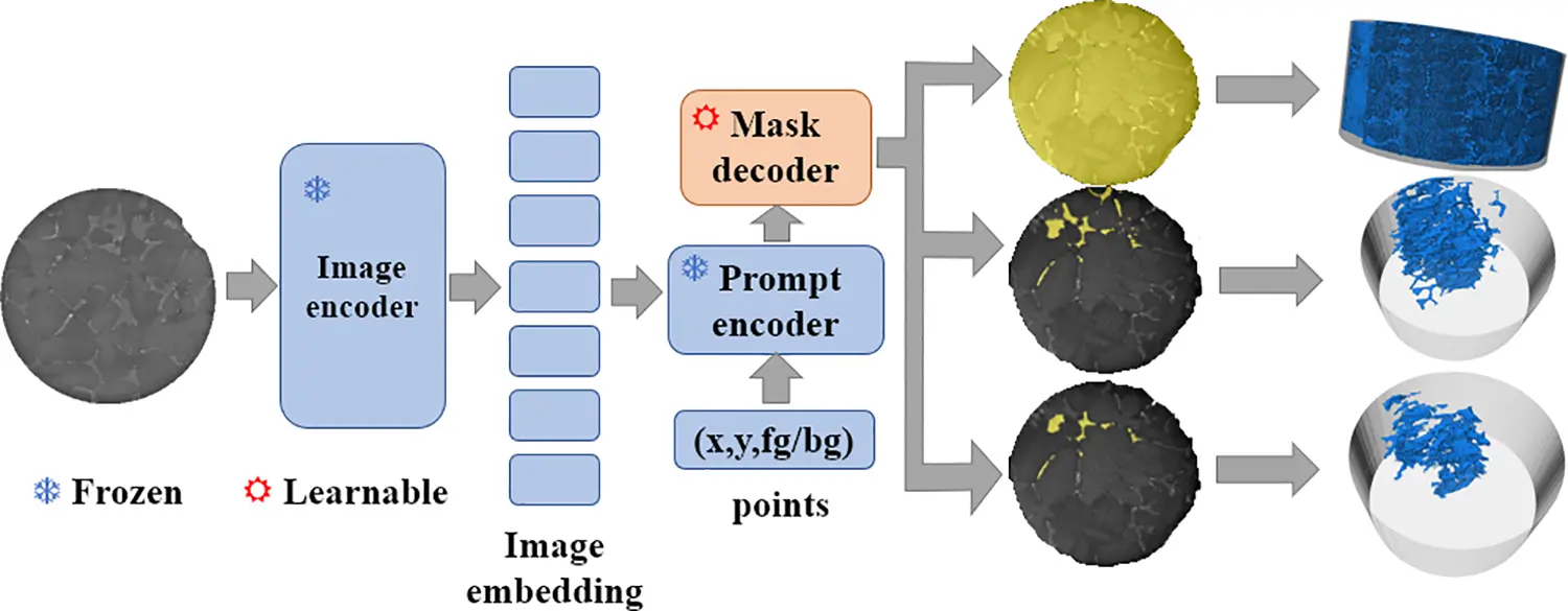CMC | Free Full-Text | Material-SAM: Adapting SAM for Material XCT