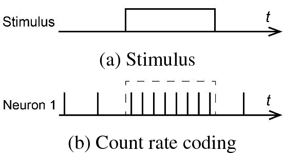 CMC | Free Full-Text | A Review of Computing with Spiking Neural Networks