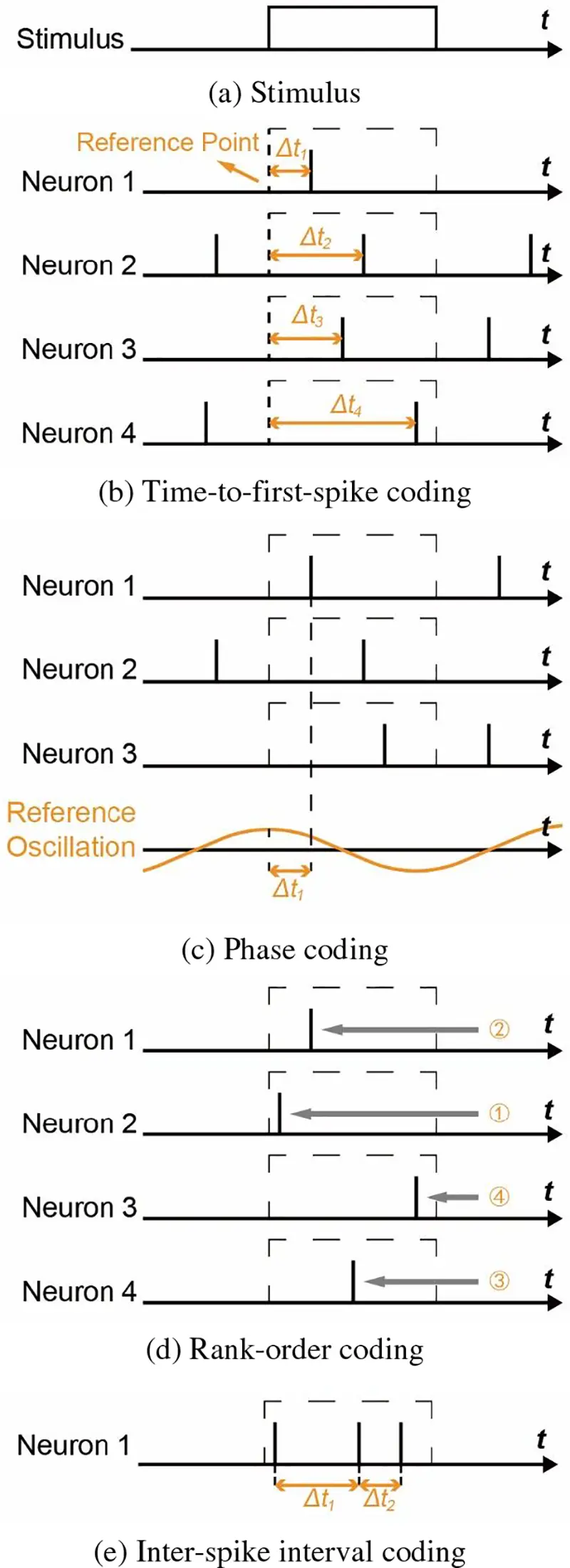 CMC | Free Full-Text | A Review of Computing with Spiking Neural Networks