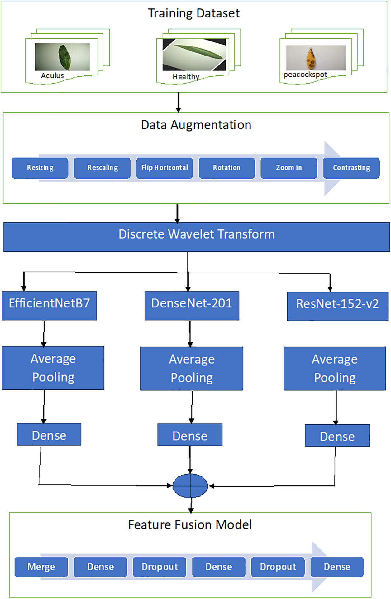 CMC | Free Full-Text | Olive Leaf Disease Detection via Wavelet Transform and Feature Fusion of ...