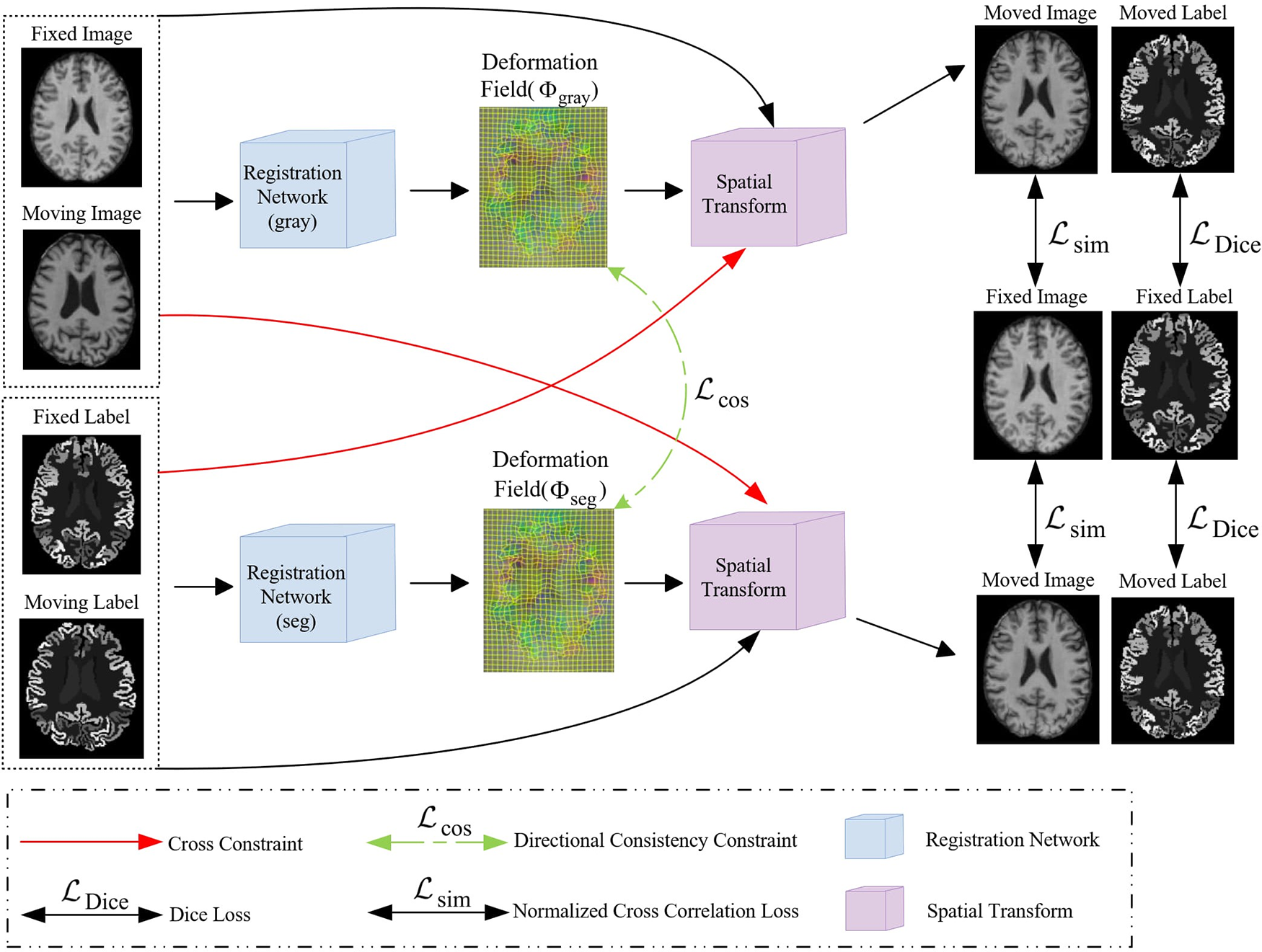 CMC | Free Full-Text | Nonlinear Registration of Brain Magnetic ...