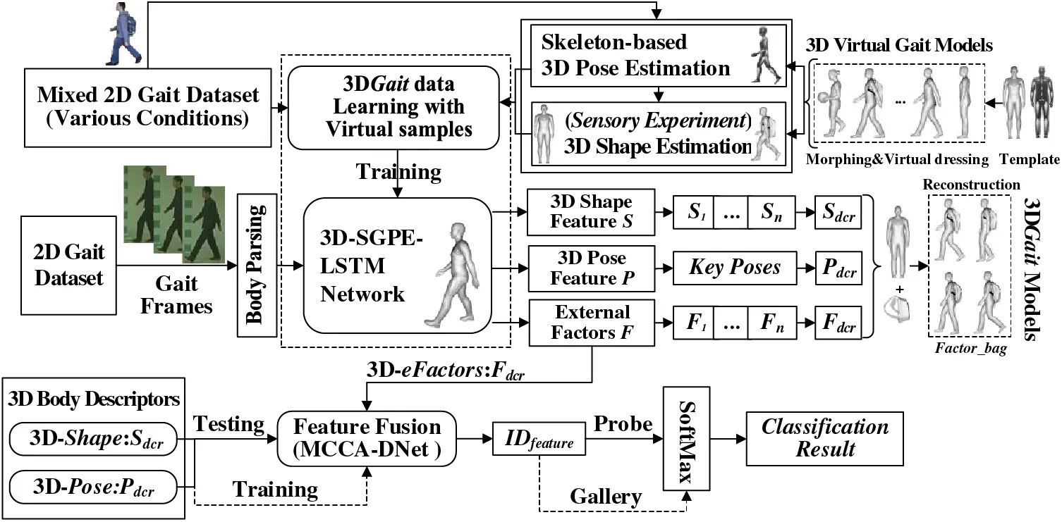 CMC | Free Full-Text | A Novel 3D Gait Model for Subject Identification ...