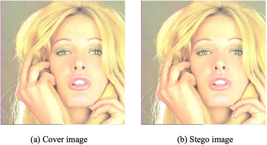 CMC | Free Full-Text | High-Secured Image LSB Steganography Using AVL ...
