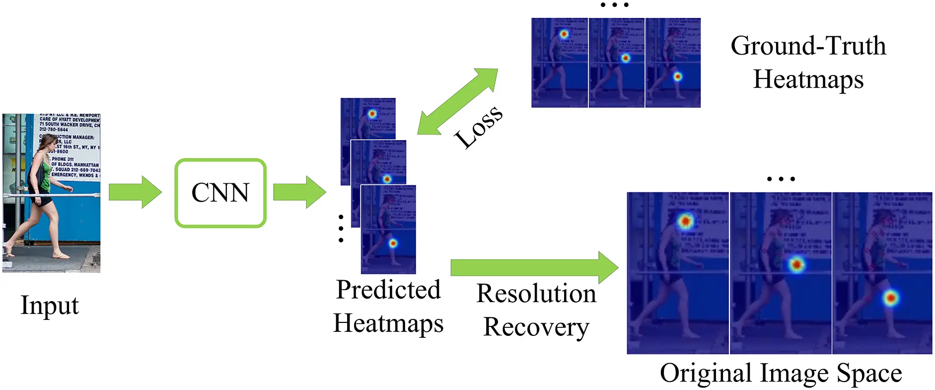 CMC | Free Full-Text | DAUNet: Detail-Aware U-Shaped Network for 2D ...