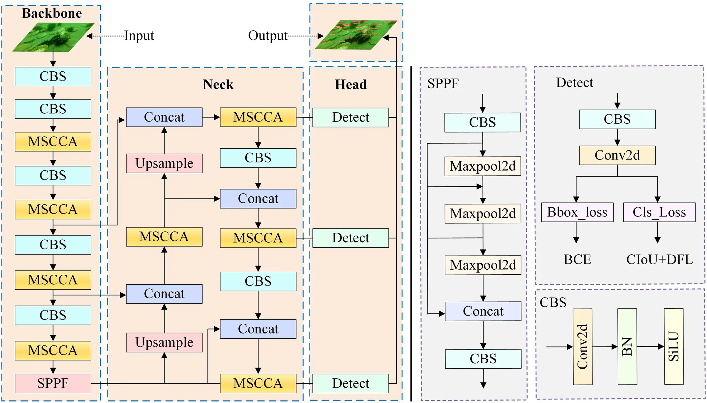 CMC | Free Full-Text | Lightweight Underwater Target Detection Using YOLOv8 with Multi-Scale ...