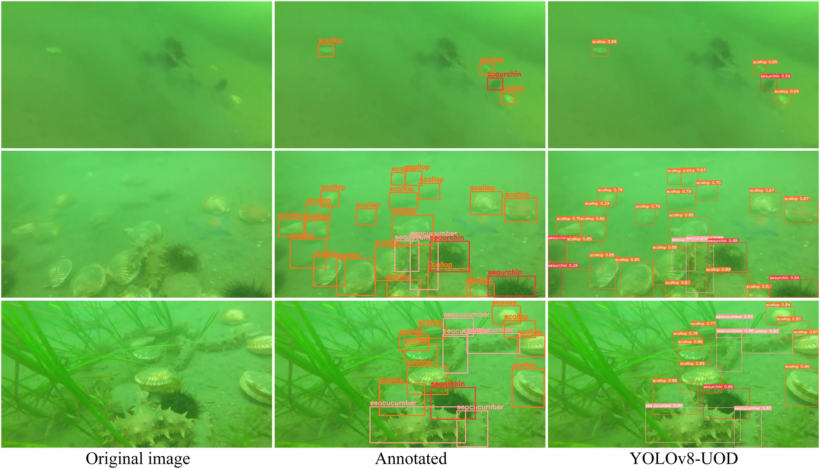 CMC | Free Full-Text | Lightweight Underwater Target Detection Using YOLOv8 with Multi-Scale ...
