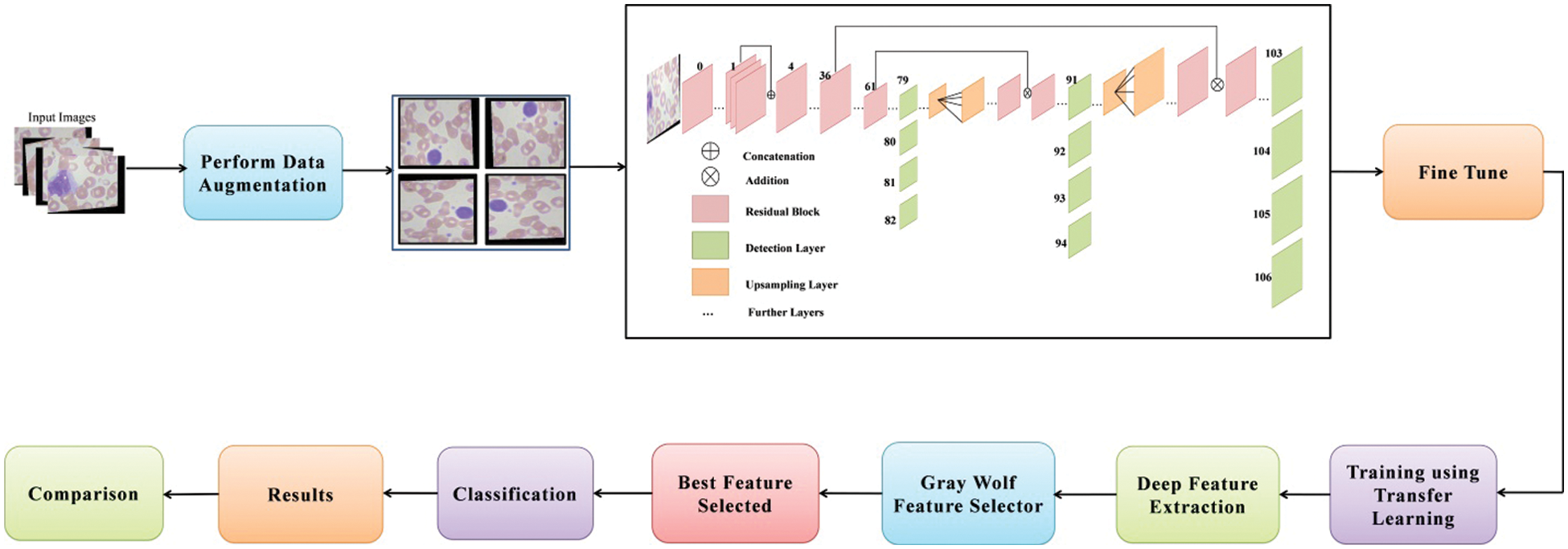 CSSE | Free Full-Text | Automated White Blood Cell Disease Recognition Using Lightweight Deep ...
