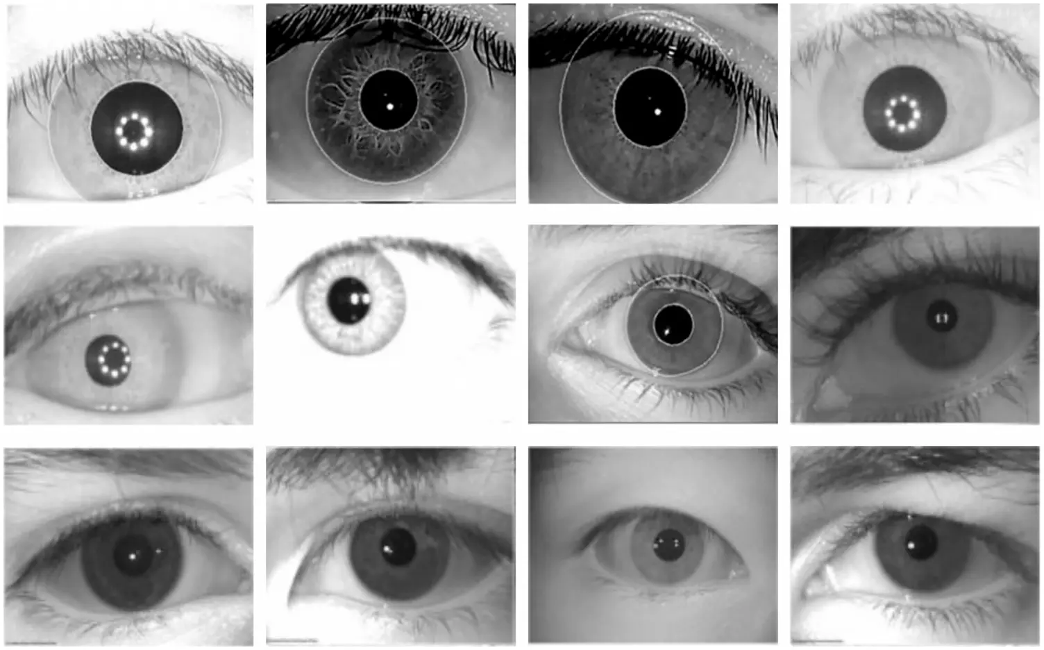 CSSE | Free Full-Text | Biometric Verification System Using Hyperparameter Tuned Deep Learning Model