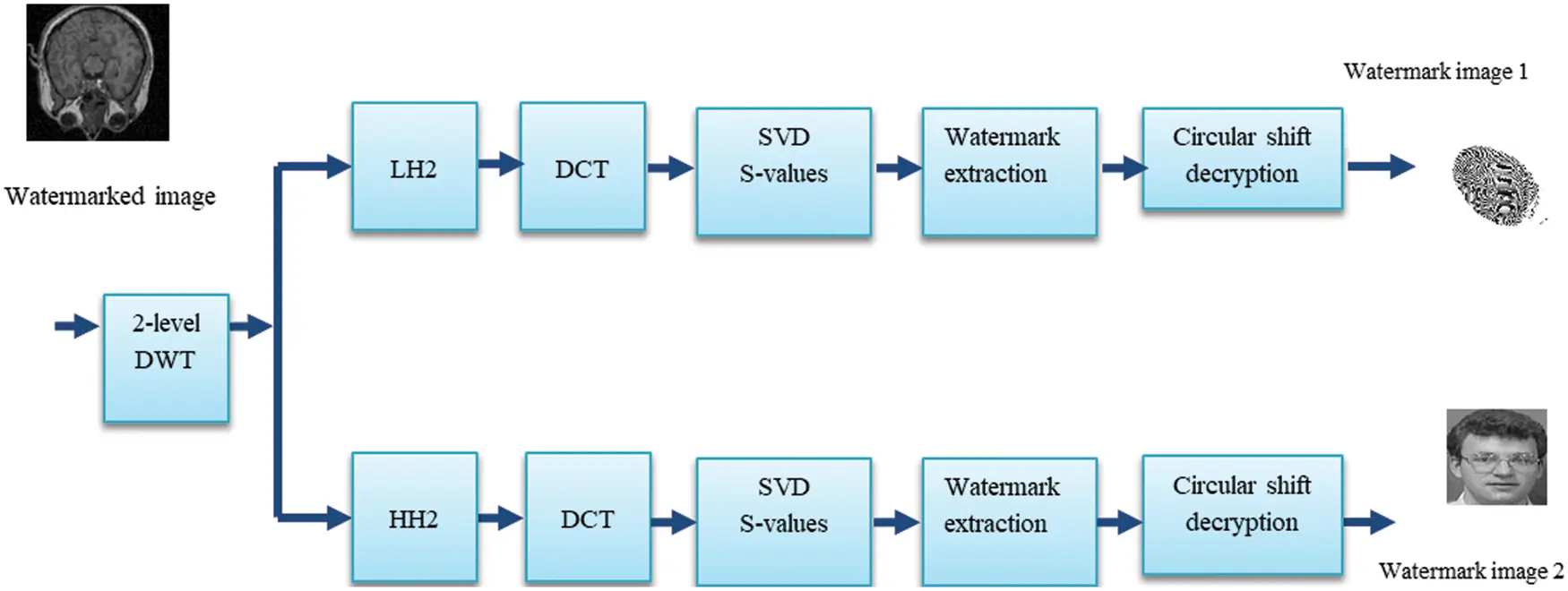 CSSE | Free Full-Text | Hybrid Watermarking and Encryption Techniques ...