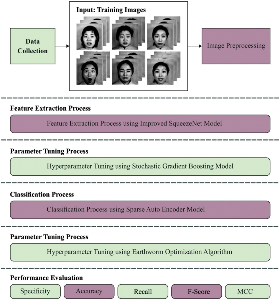 CSSE | Free Full-Text | Earthworm Optimization with Improved SqueezeNet Enabled Facial ...