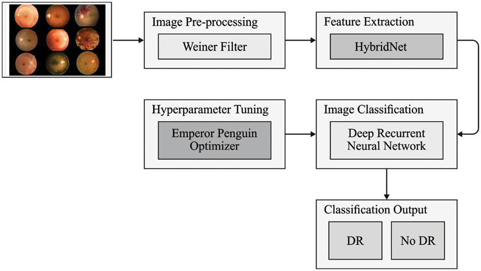 CSSE | Free Full-Text | Leveraging Retinal Fundus Images with Deep ...