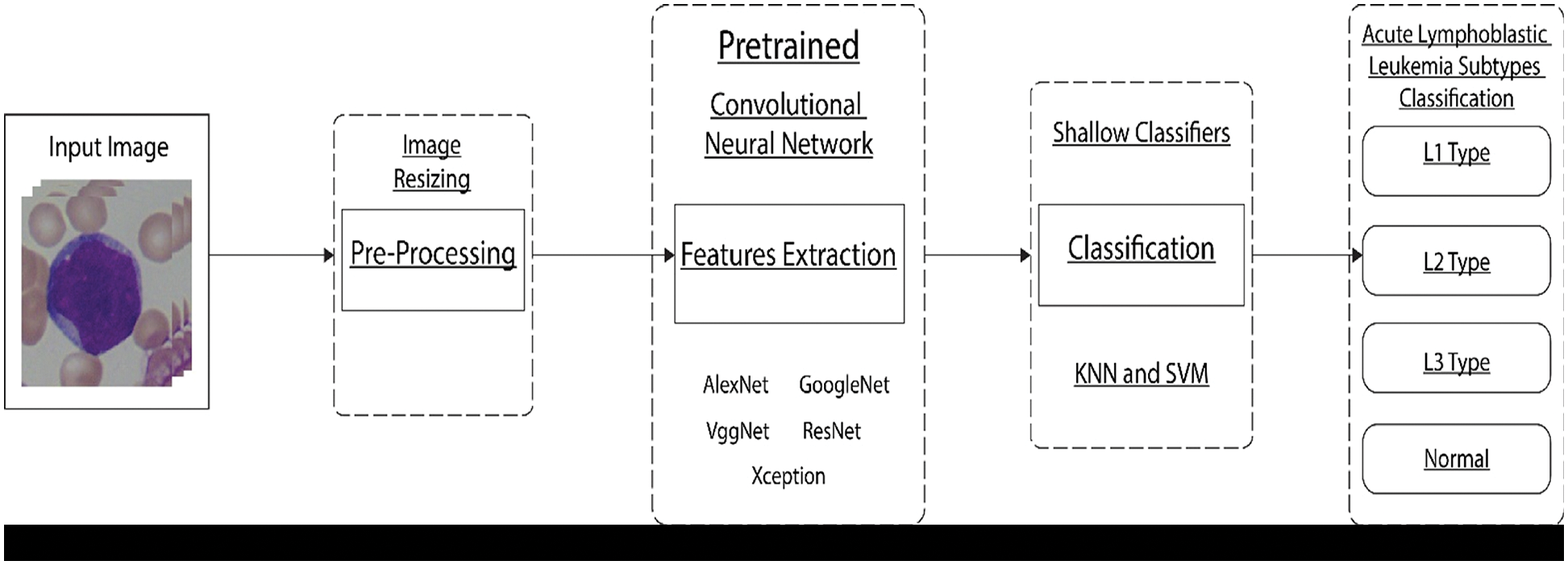 CSSE | Free Full-Text | Automated Leukemia Screening and Sub-types Classification Using Deep ...