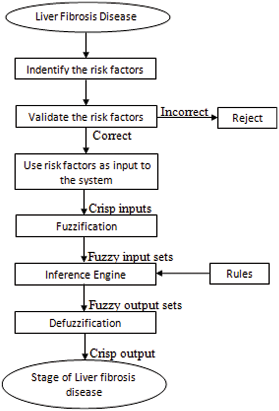 CSSE | Free Full-Text | Fuzzy Logic-Based System for Liver Fibrosis Disease
