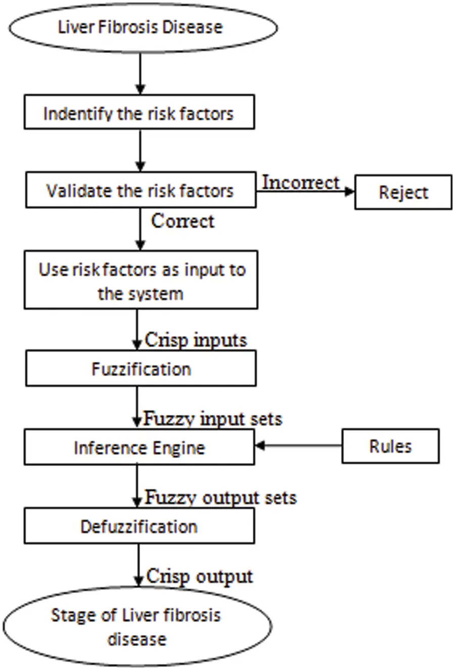 CSSE | Free Full-Text | Fuzzy Logic-Based System for Liver Fibrosis Disease