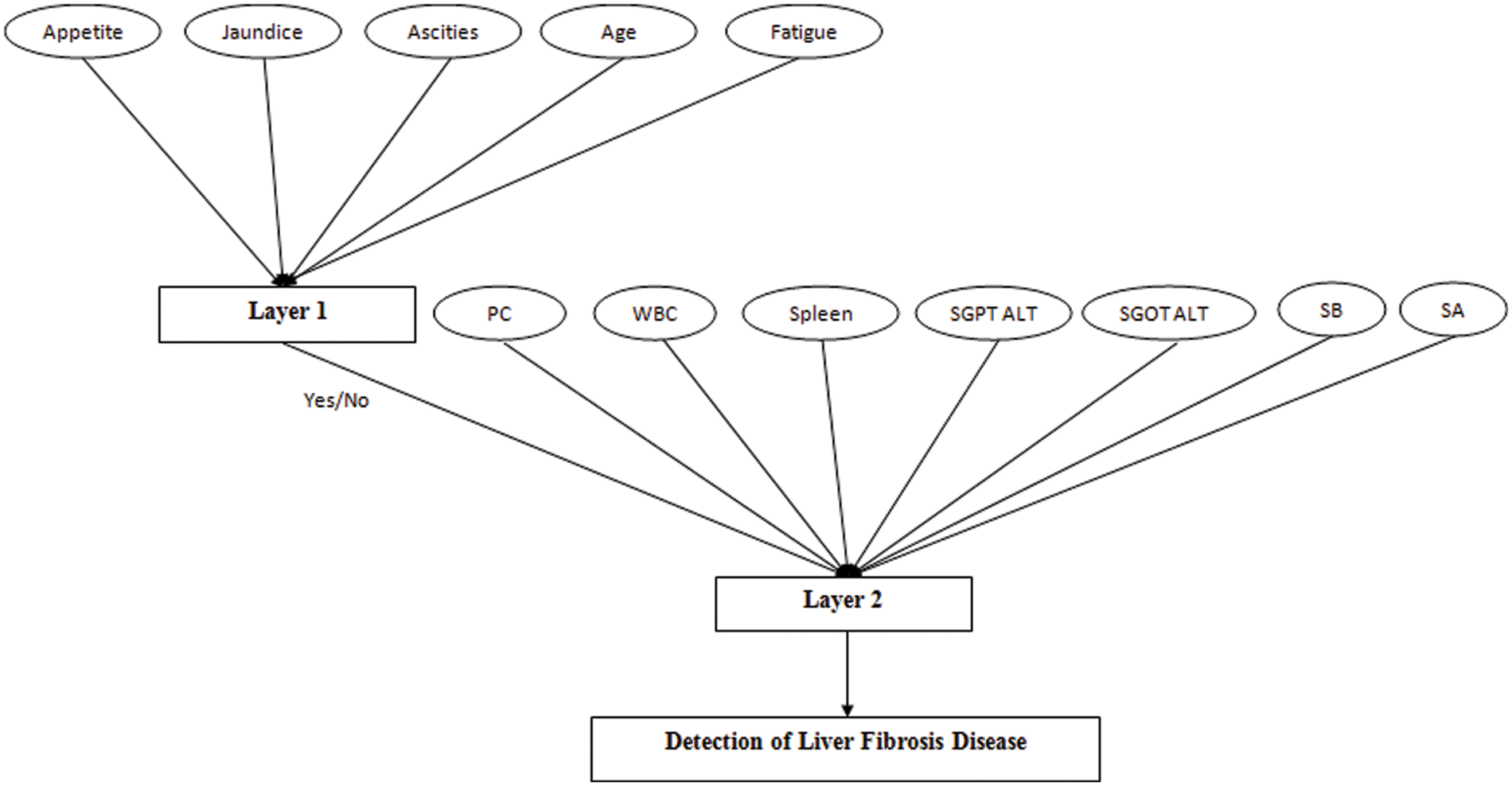 CSSE | Free Full-Text | Fuzzy Logic-Based System for Liver Fibrosis Disease