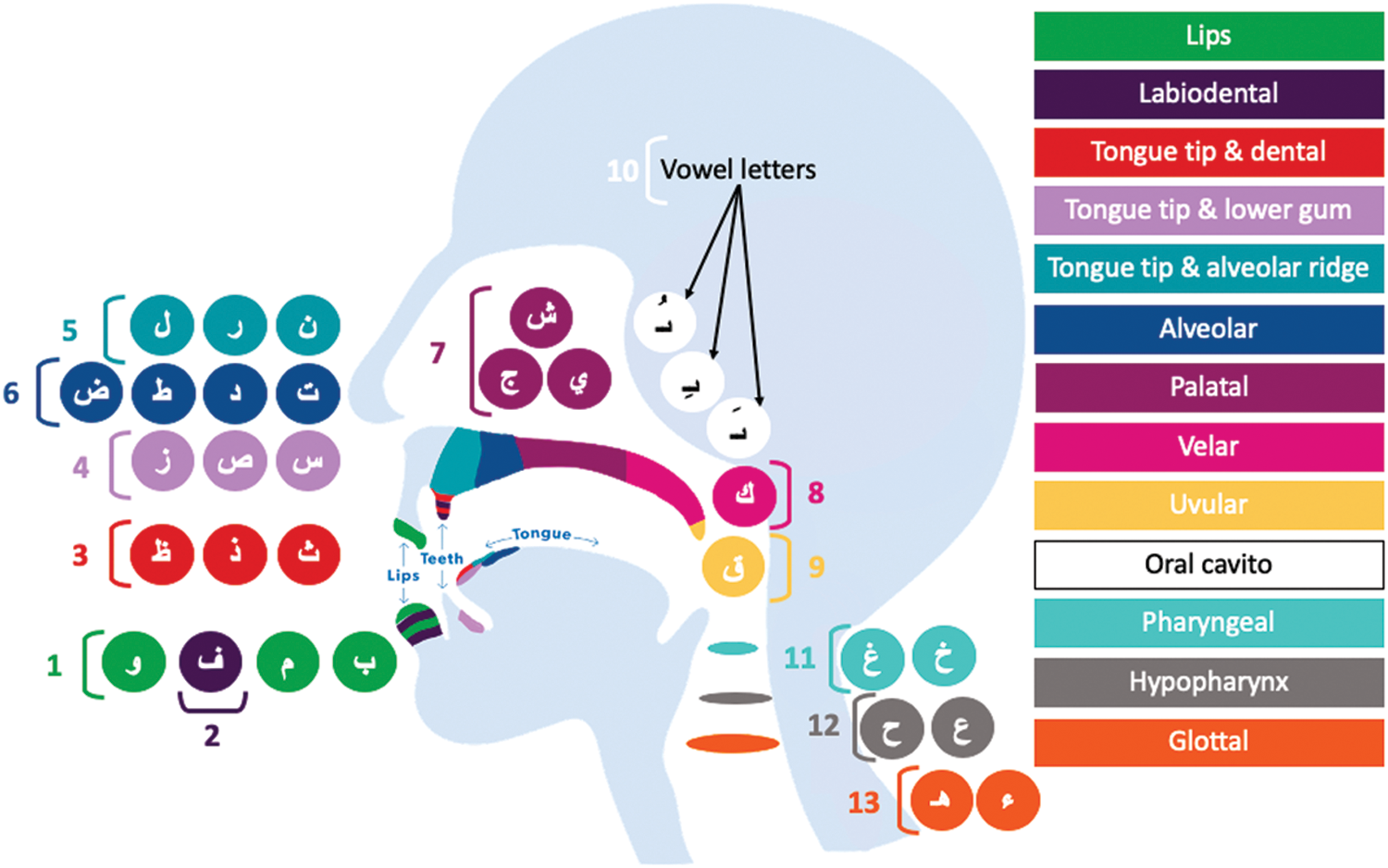 CSSE | Free Full-Text | Visual Lip-Reading for Quranic Arabic Alphabets ...