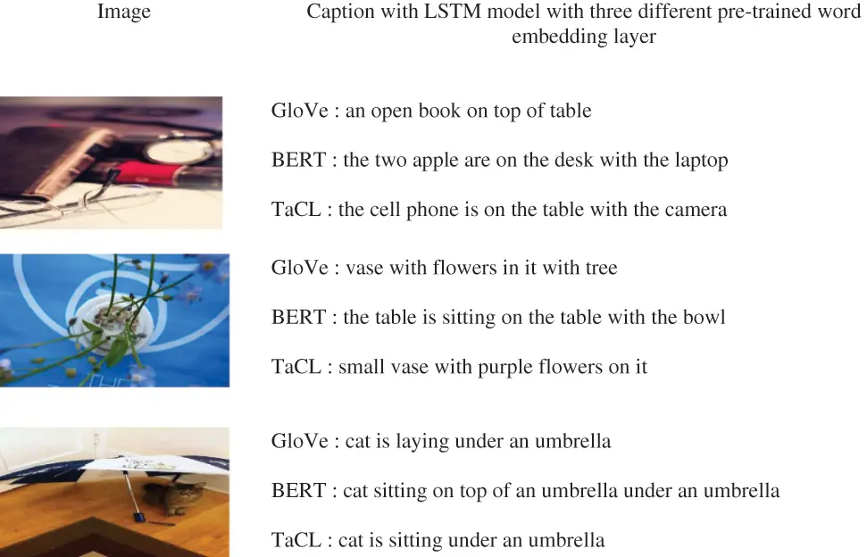 CSSE | Free Full-Text | Enhanced Image Captioning Using Features Concatenation and Efficient Pre ...