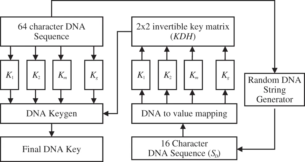 CSSE | Free Full-Text | Improved Cloud Storage Encryption Using Block Cipher-Based DNA Anti ...