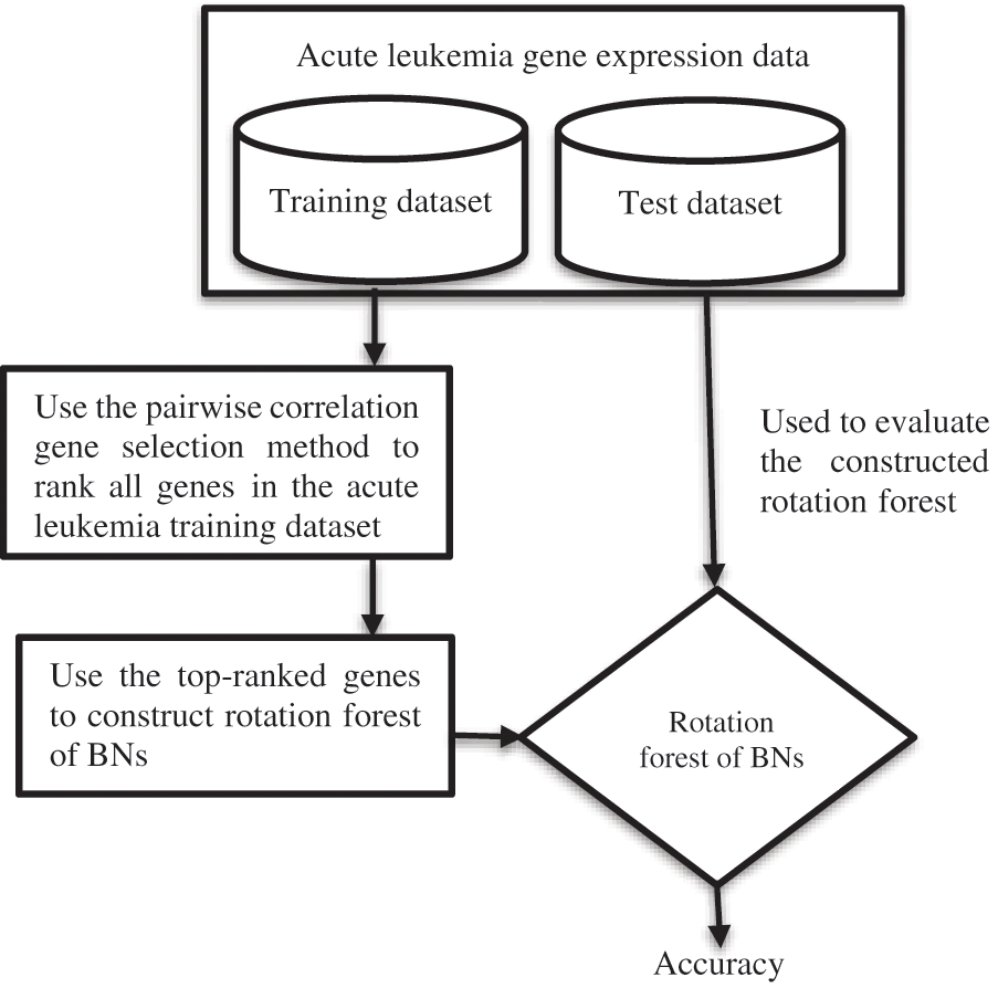 CSSE | Free Full-Text | A Survey on Acute Leukemia Expression Data Classification Using Ensembles