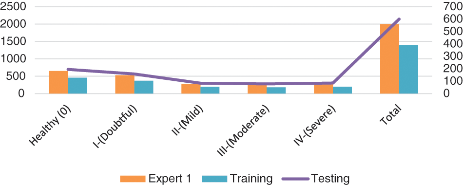 CSSE | Free Full-Text | A Robust Approach for Detection and Classification of KOA Based on ...