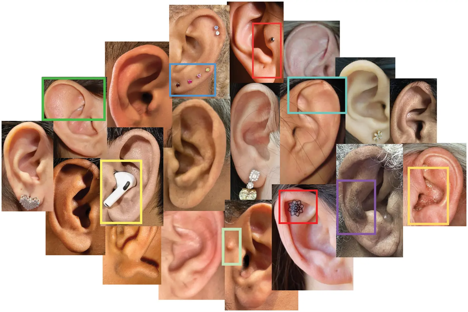 CSSE | Free Full-Text | Fine-Grained Soft Ear Biometrics for Augmenting ...