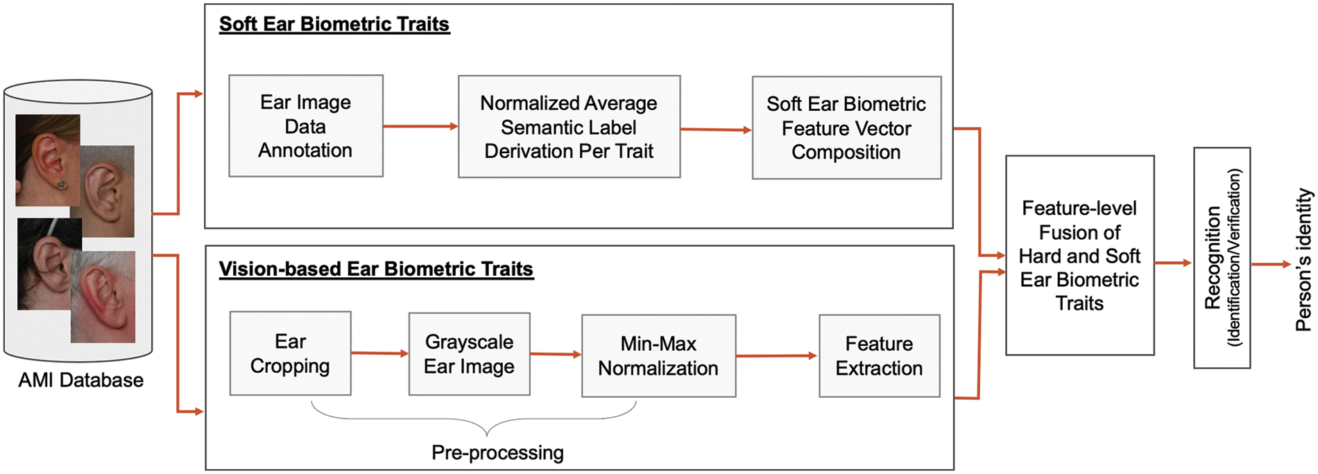 CSSE | Free Full-Text | Fine-Grained Soft Ear Biometrics for Augmenting Human Recognition