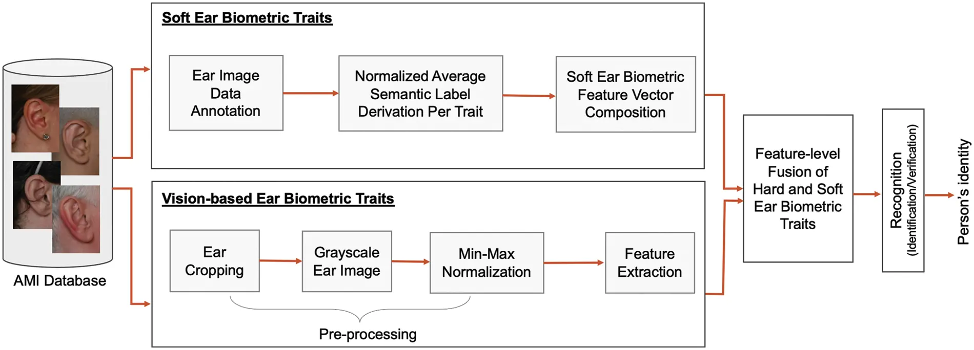 CSSE | Free Full-Text | Fine-Grained Soft Ear Biometrics for Augmenting ...
