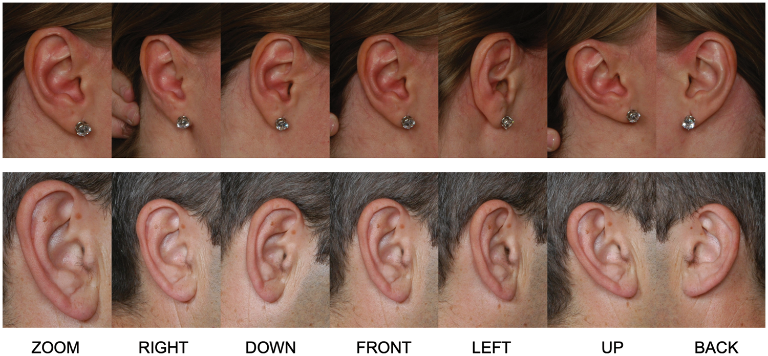 CSSE | Free Full-Text | Fine-Grained Soft Ear Biometrics for Augmenting ...