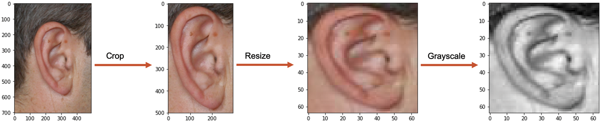 CSSE | Free Full-Text | Fine-Grained Soft Ear Biometrics for Augmenting ...