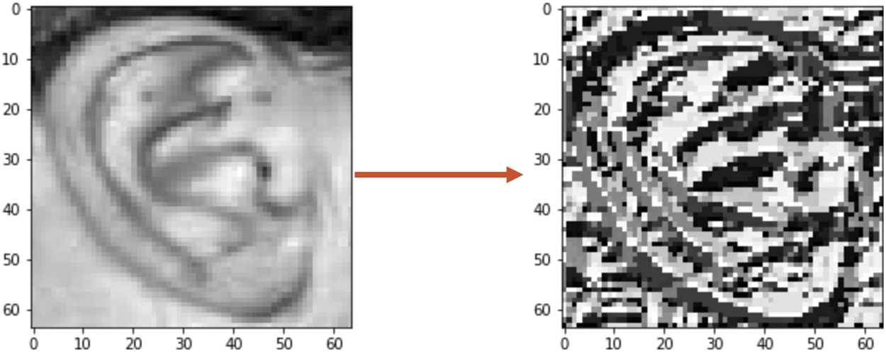 CSSE | Free Full-Text | Fine-Grained Soft Ear Biometrics for Augmenting ...