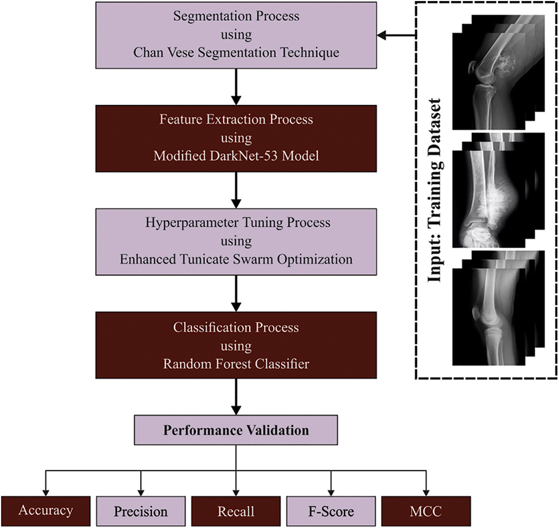 CSSE | Free Full-Text | Enhanced Tunicate Swarm Optimization with ...