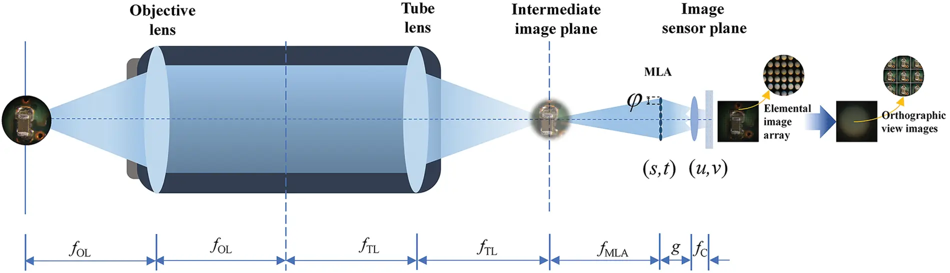 CSSE | Free Full-Text | Enhanced 3D Point Cloud Reconstruction for Light Field Microscopy Using ...