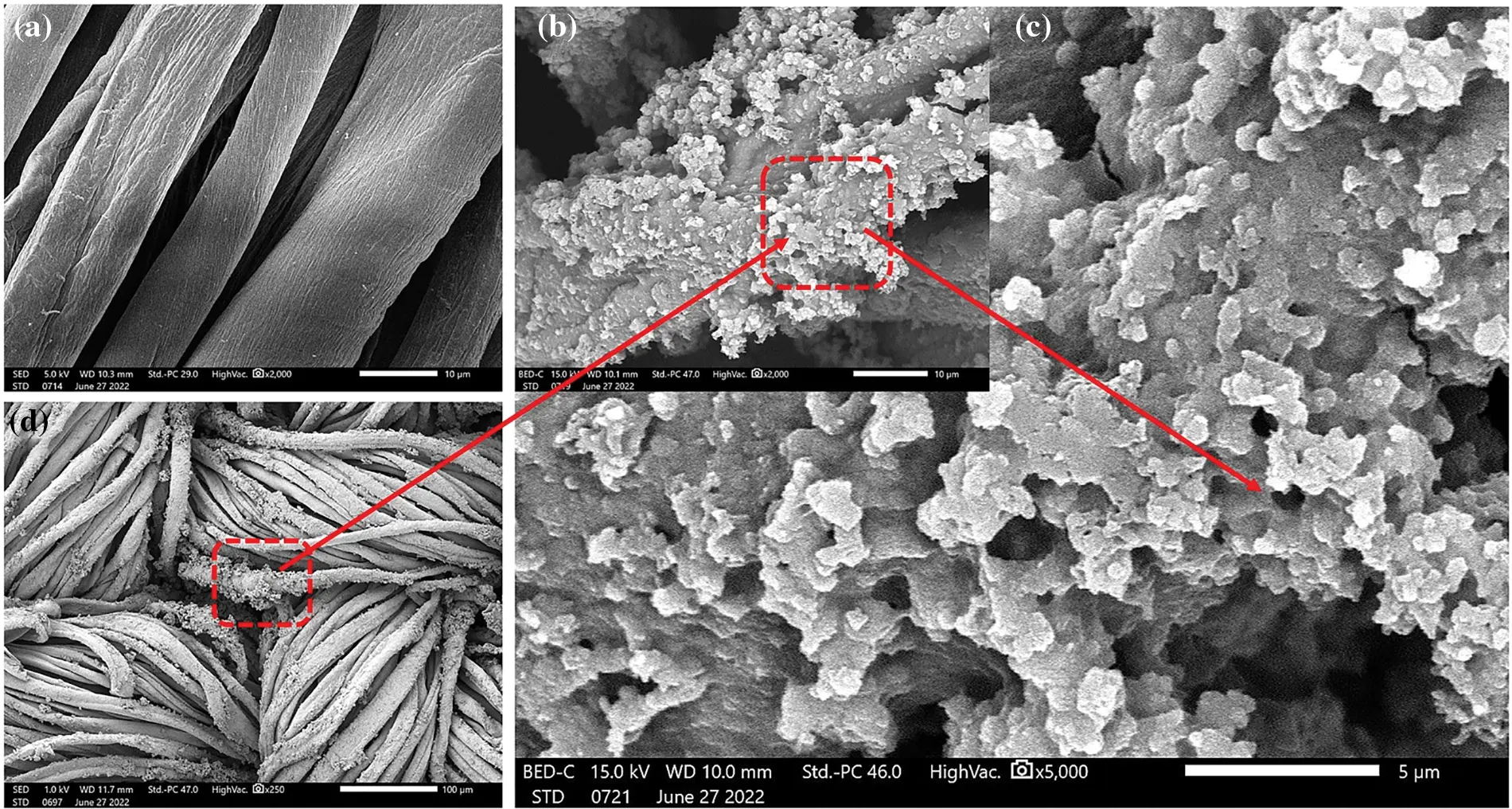 ENERGY | Free Full-Text | Surface Morphology and Thermo-Electrical ...