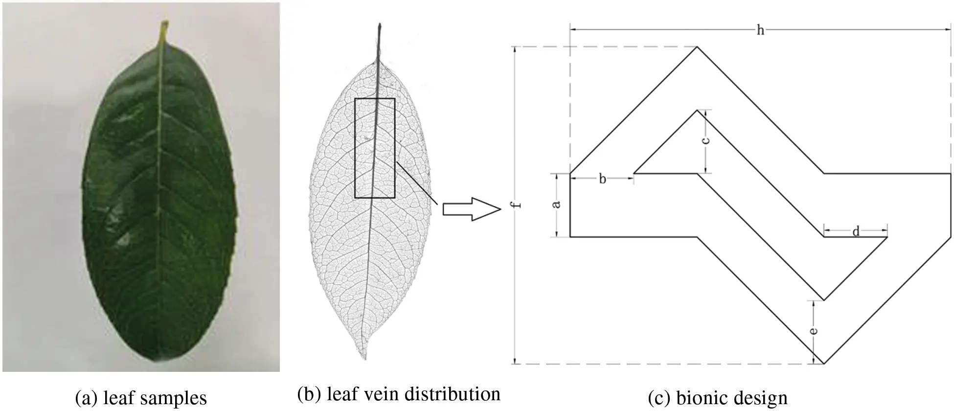 FDMP | Free Full-Text | Analysis of the Hydraulic Performances of a New ...