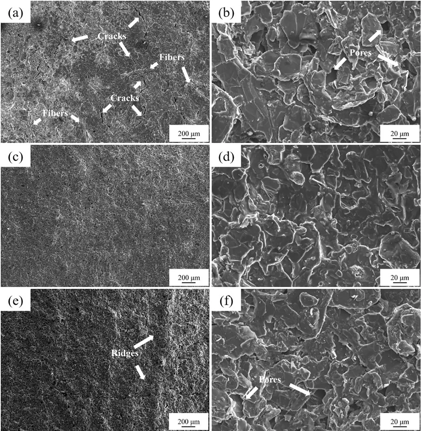 FDMP | Free Full-Text | Protective Graphite Coating for Two-Dimensional ...