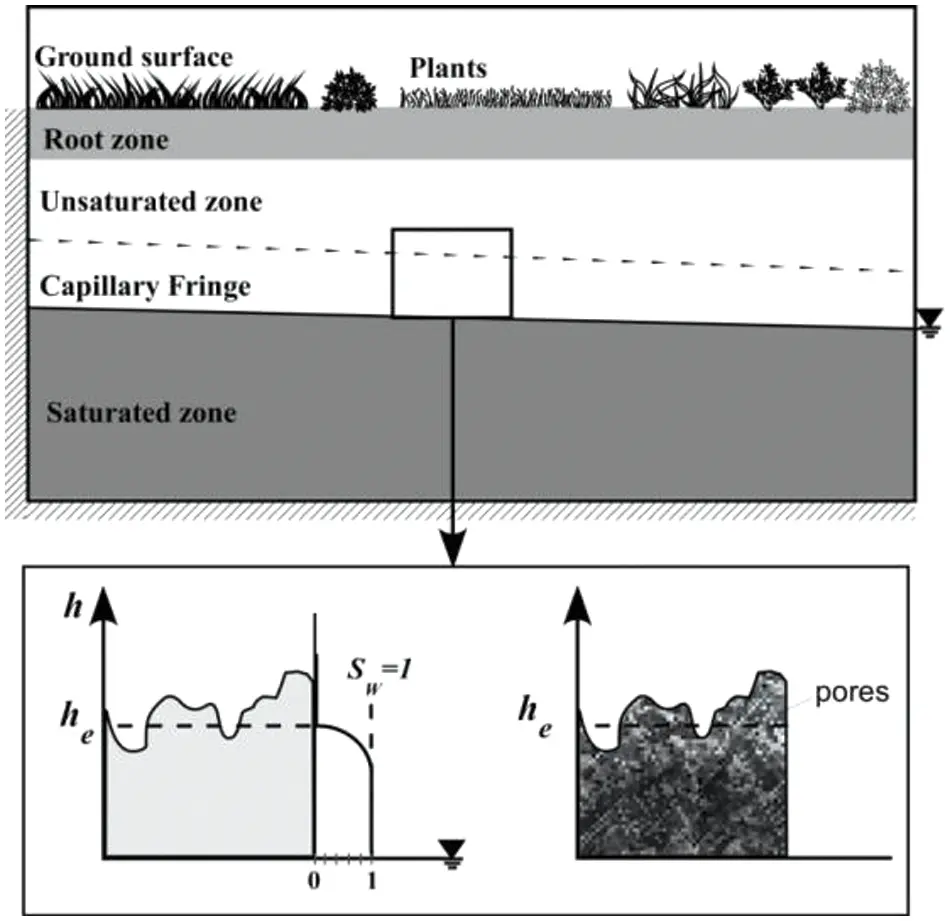 FDMP | Free Full-Text | Exploring Capillary Fringe Flow: Quasilinear ...