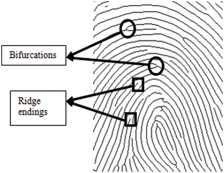 IASC | Free Full-Text | An Automatic Deep Neural Network Model for Fingerprint Classification