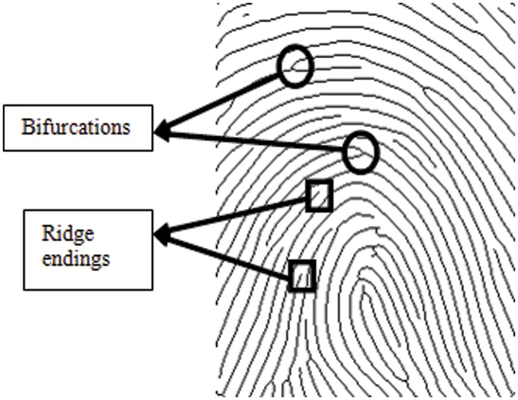 IASC | Free Full-Text | An Automatic Deep Neural Network Model for Fingerprint Classification