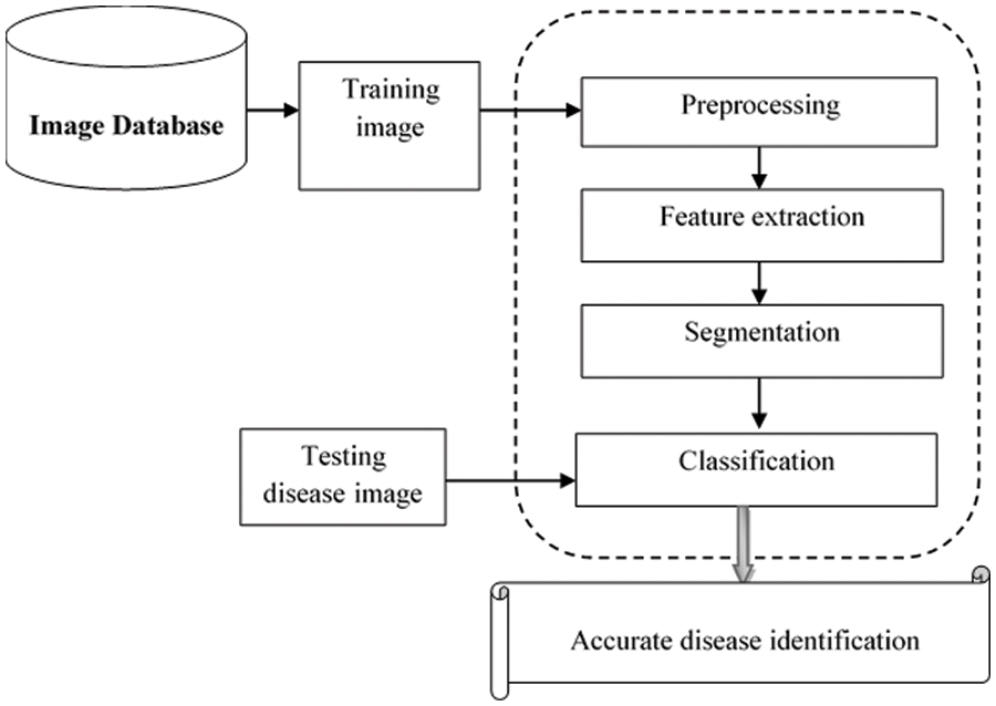 IASC | Free Full-Text | Early Detection Glaucoma and Stargardt’s Disease Using Deep Learning ...