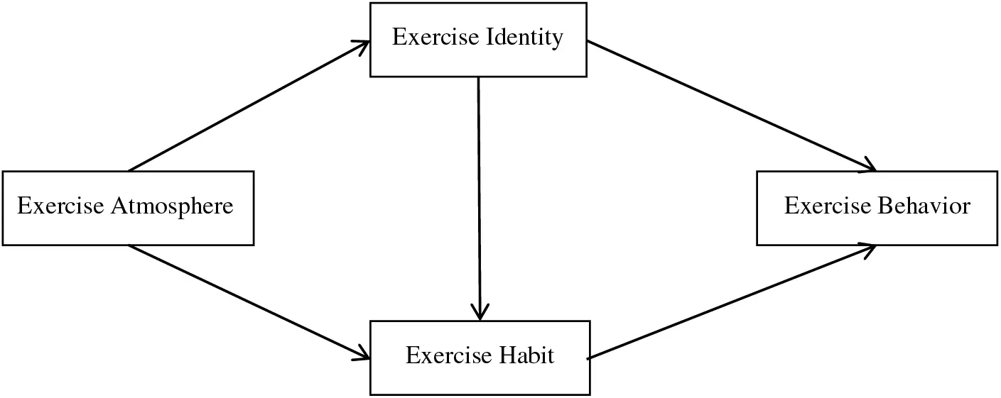 IJMHP | Free Full-Text | Impact of Exercise Atmosphere on Adolescents ...